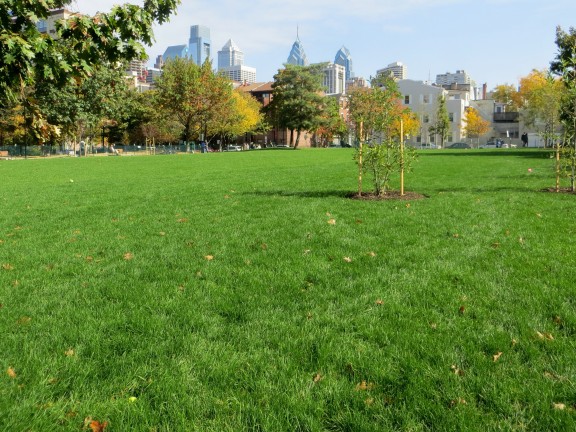 Schuylkill River Park & Markward Playground | Schuylkill Banks